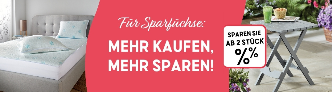 Sparfuchs | 3PAGEN